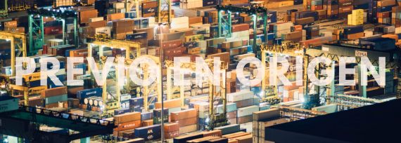 ¿Qué es el Previo en Origen? para importaciones más ágiles y seguras